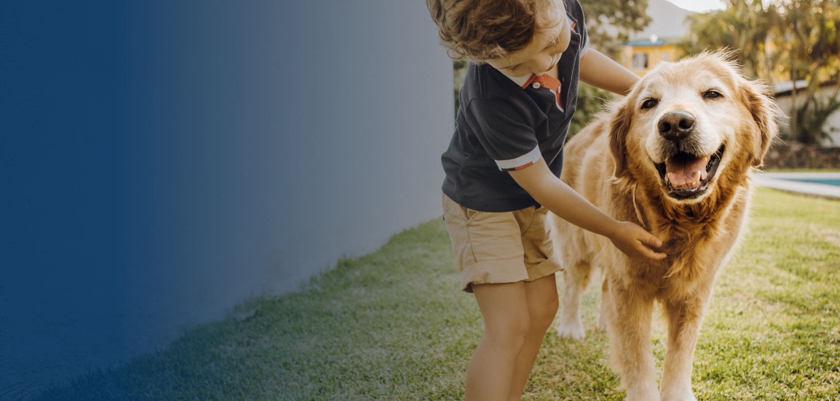 Pet Insurance | California Casualty